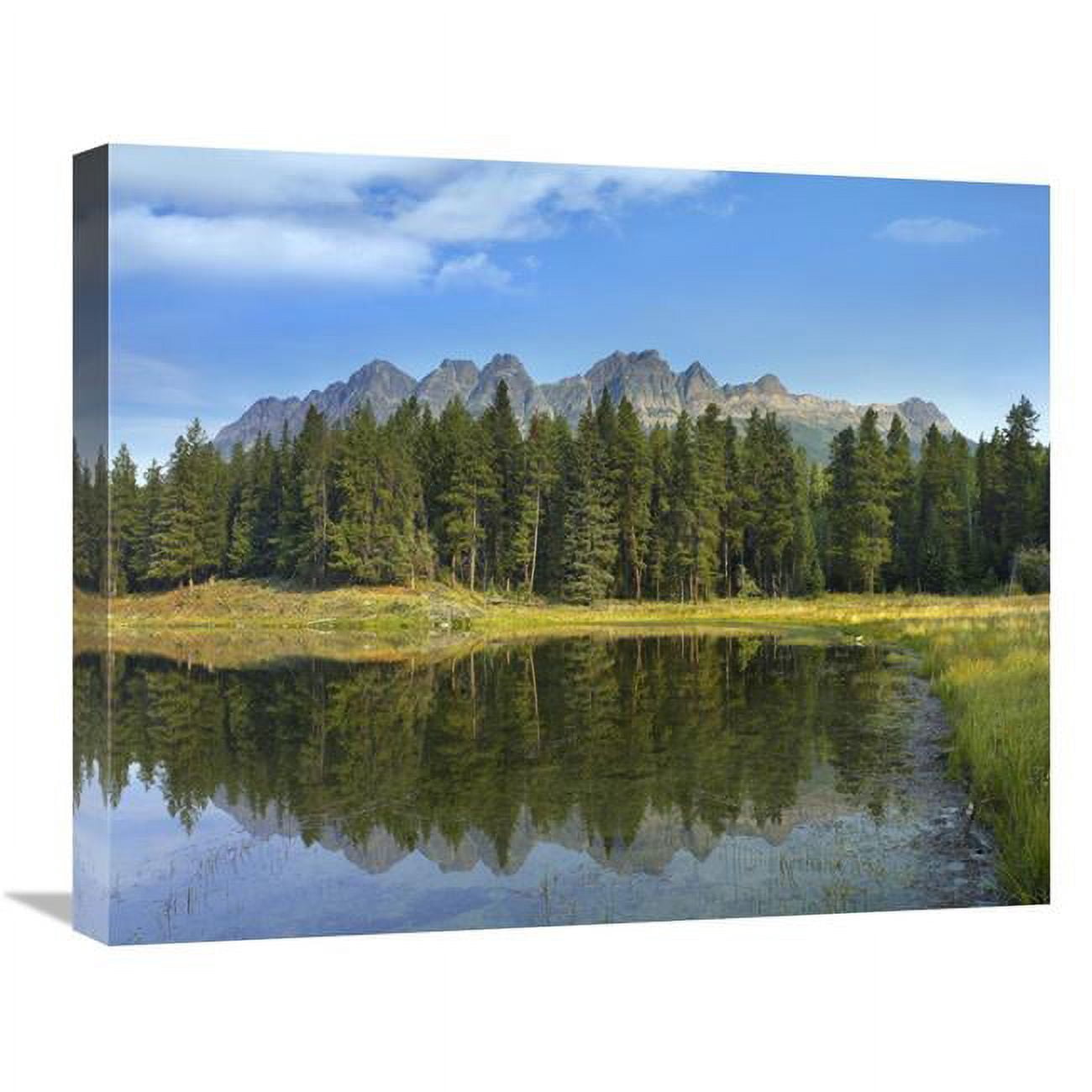 20 x 24 in. Yellowhead Mountain & Yellowhead Lake with Boreal Forest ...