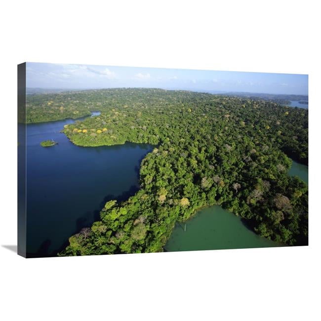 20 x 30 in. Aerial VIew of the Canal Zone, Barro Colorado Island ...