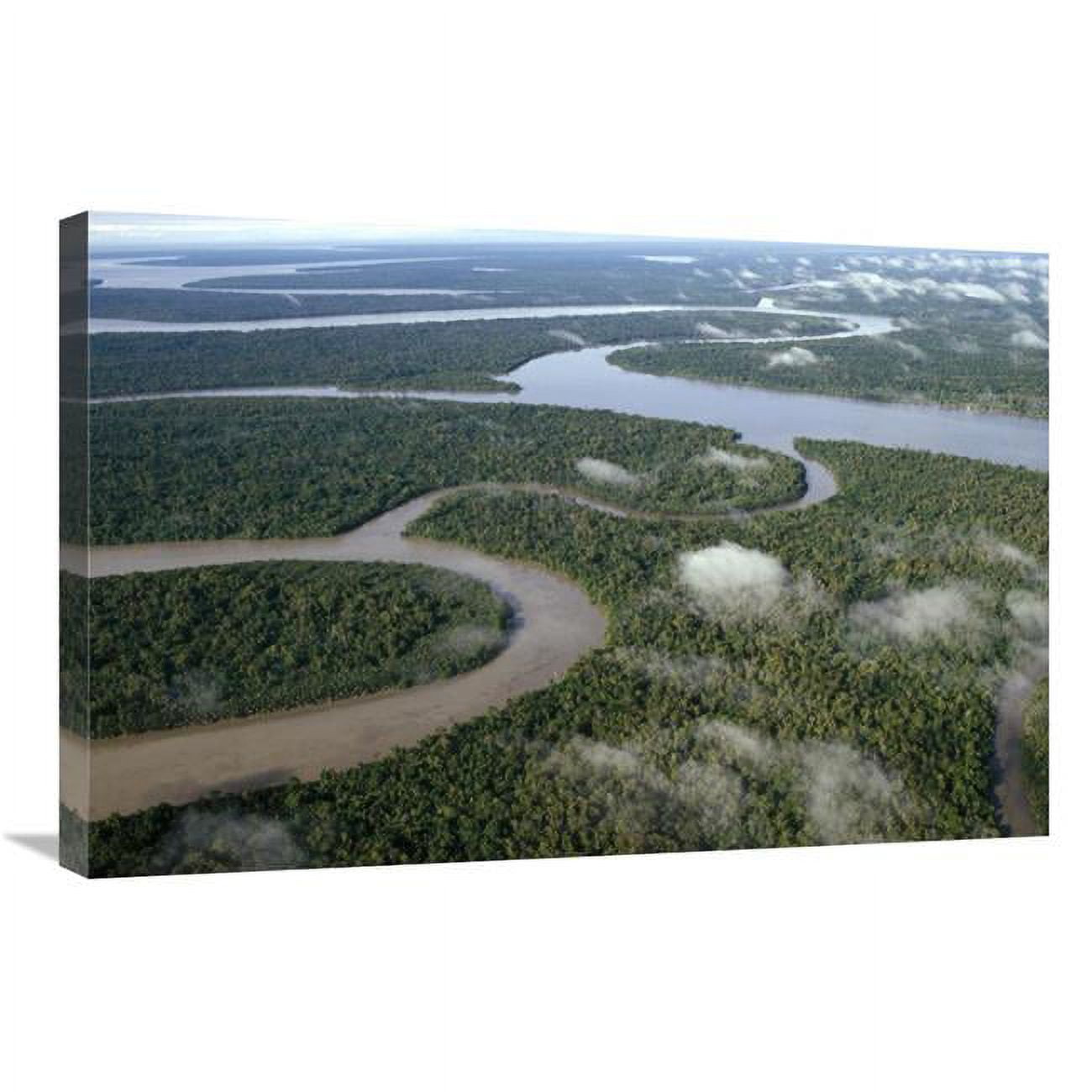 20 x 30 in. Aerial of Tropical Rainforest & Winding Rivers, Kikori ...