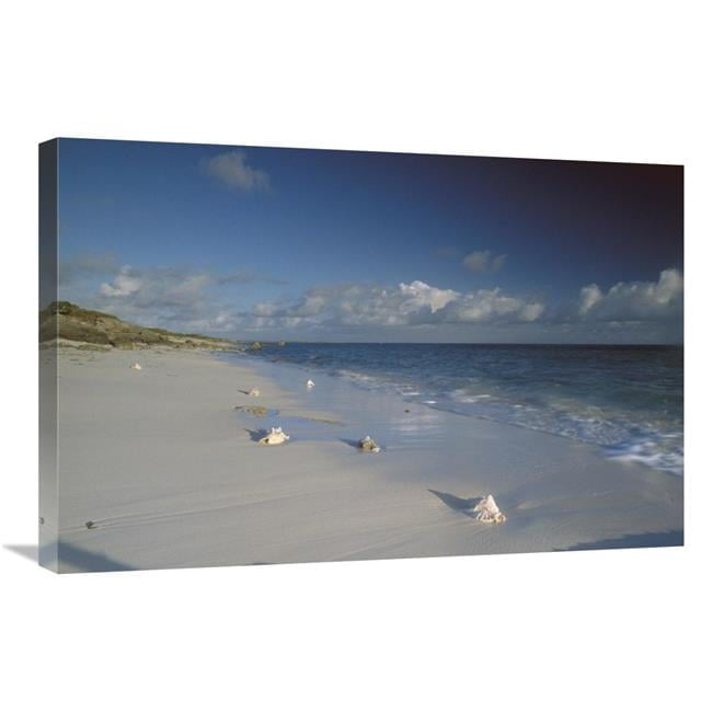 20 x 30 in. Conch Shell on Seven Mile Beach, Grand Turk Island, Turk ...