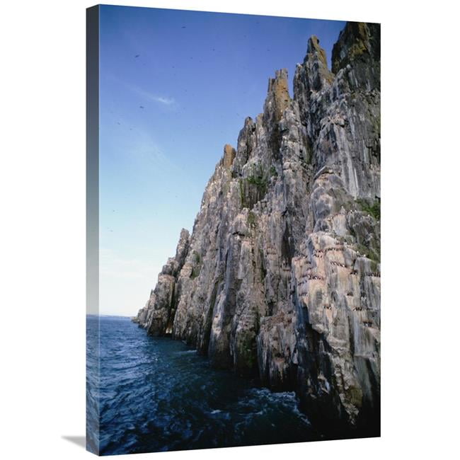 20 x 30 in. Dolomite Cliff with Guillemot Colony, East Spitsbergen ...