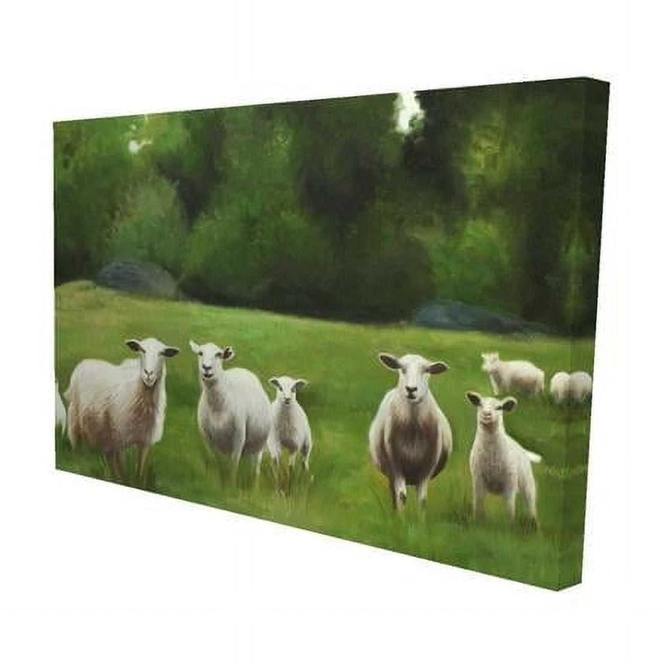 20 x 30 in. Fields of Sheep-Print on Canvas - Walmart.com