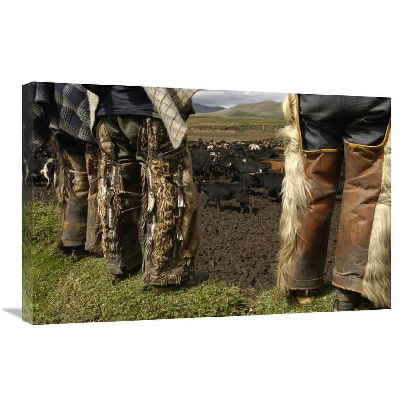 20 x 30 in. Ocelot Fur & Goat Hair on Chaps Worn by Chagras, Andes ...