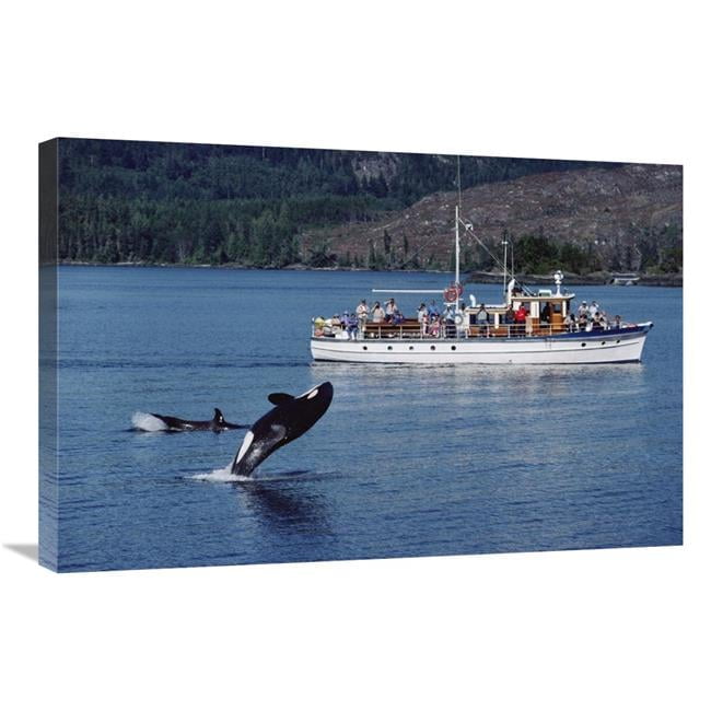 20 x 30 in. Orca Leaping Before Whale Watchers, Johnstone Strait ...
