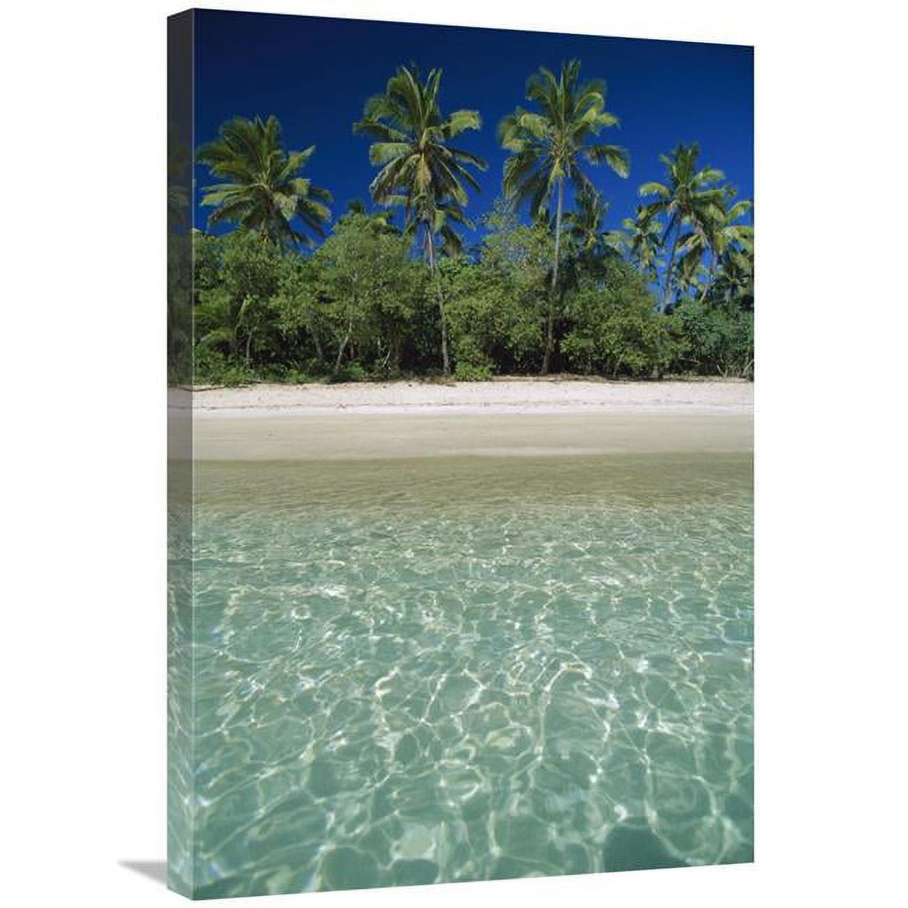 20 x 30 in. Tropical Scene with Palm Trees, Uoleva Island, Ha Apai ...