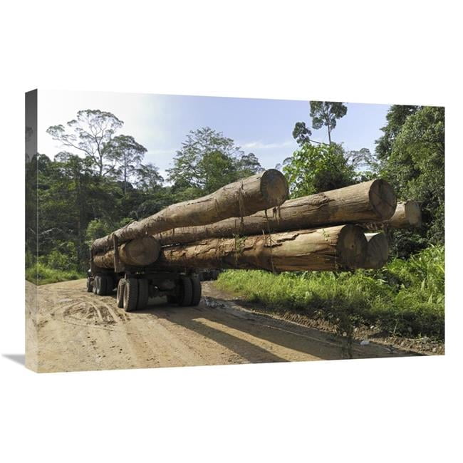 20 x 30 in. Truck with Timber From A Logging Area, Danum Valley ...