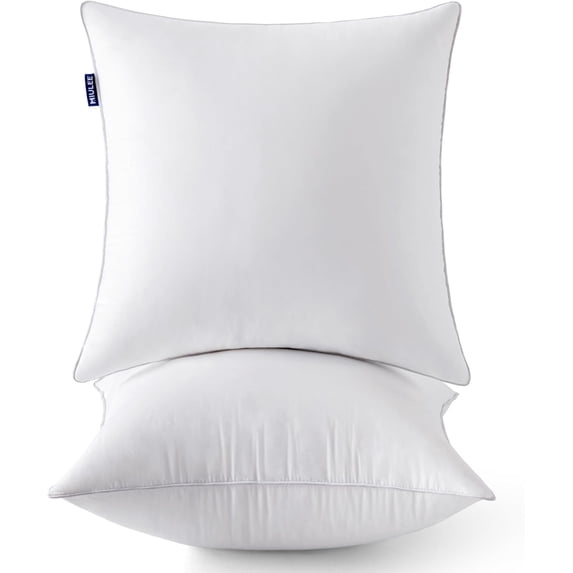 20 x Pillow Inserts (Set of 2) -Throw Pillows for Couch Sofa with 100% ...