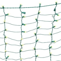 Wintergreen 150ft Warm White LED Rope Light, Indoor-Outdoor, 120V, 1/2 ...