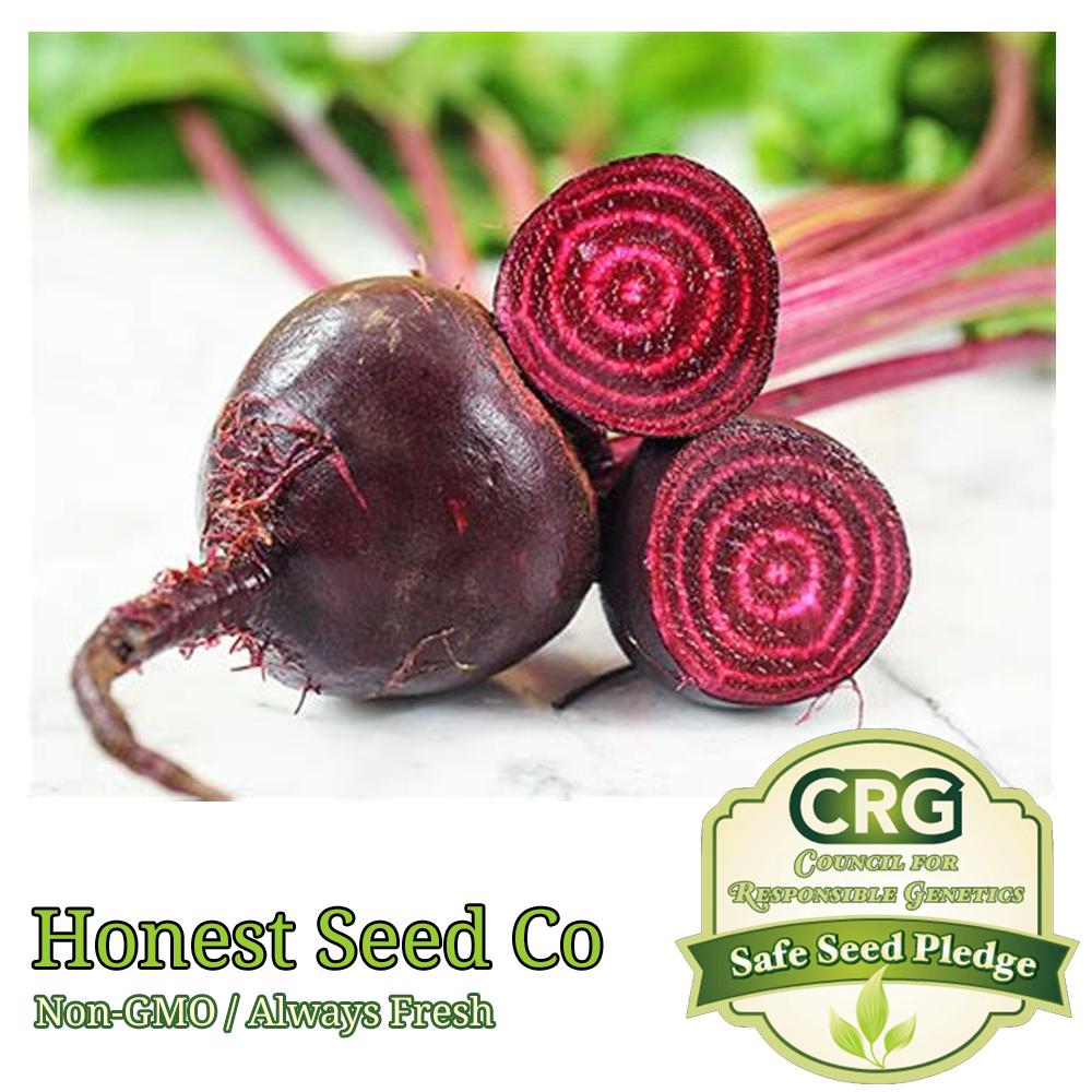 200+ Early-Wonder Beet Seeds | Non-GMO | Fresh Garden Seeds - Walmart.com