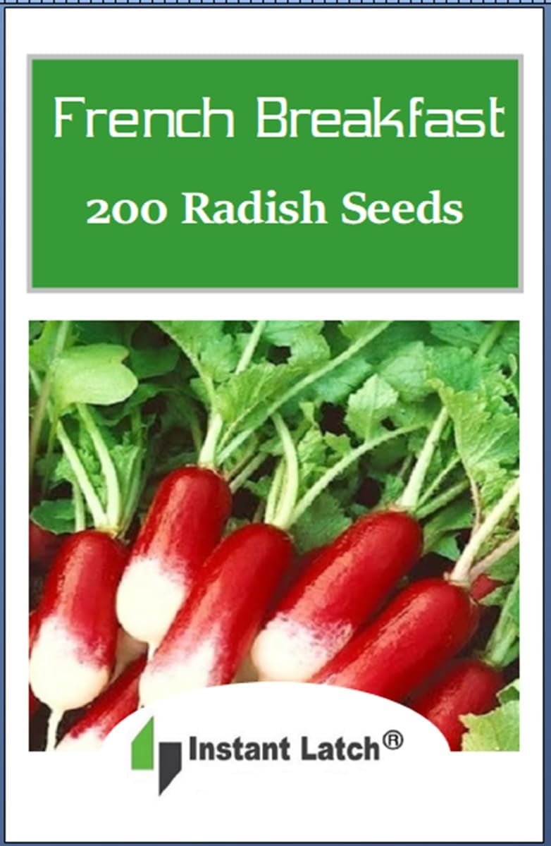 200 French Breakfast TWE5 Radish Seeds Non GMO Radish Seed for Planting ...