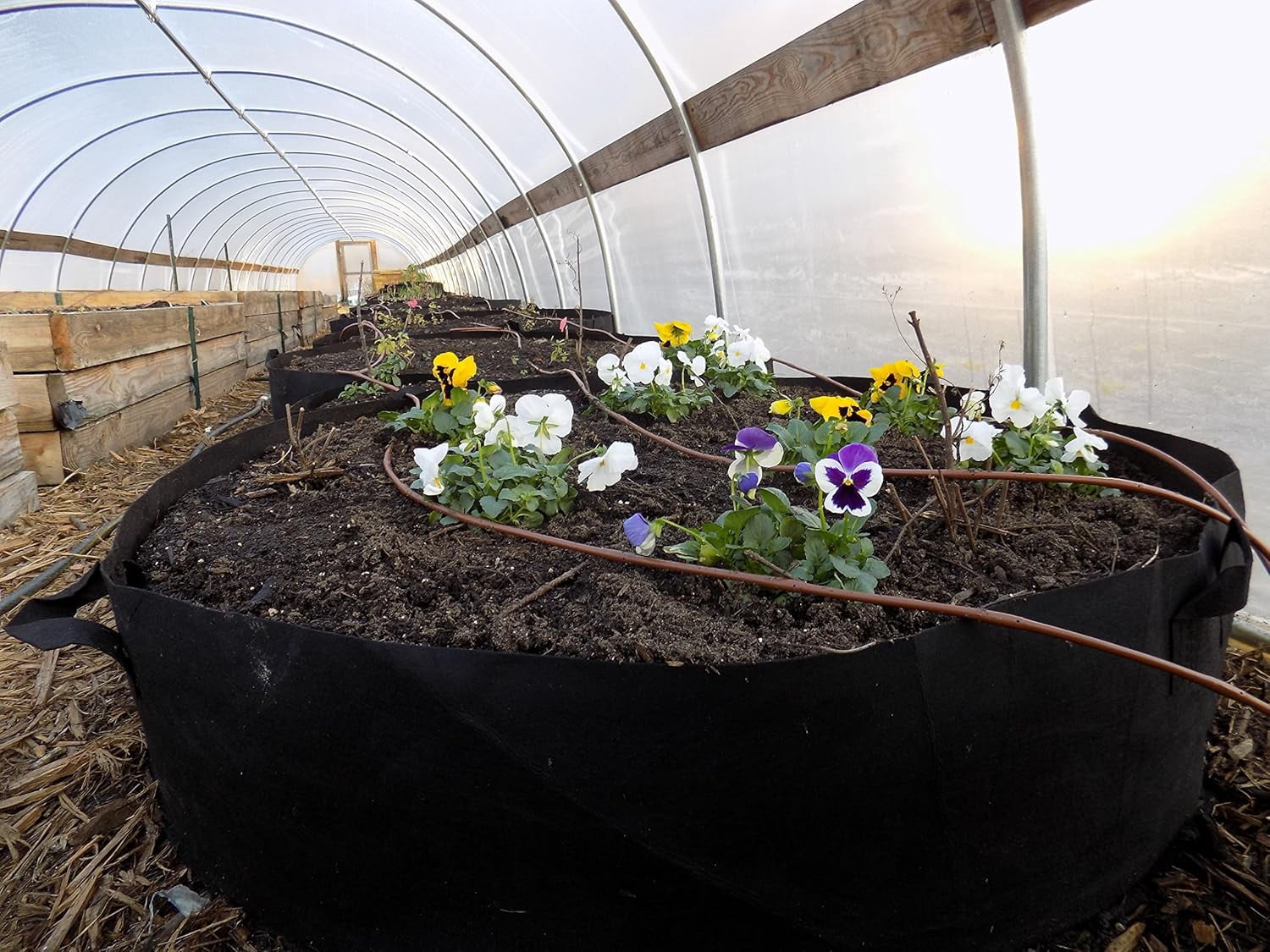 200 Gallon Grow Bag Raised Bed with Handles, 3 Pack - Walmart.com