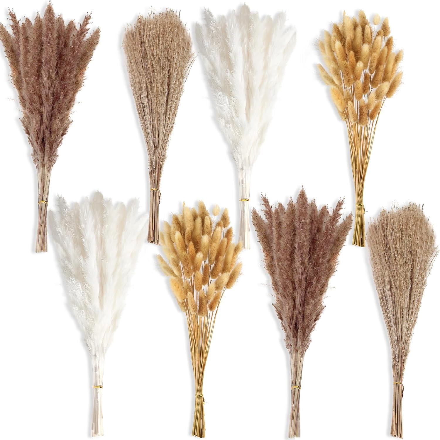 200 PCS Small Pampas Grass, 17" Naturally Dried Pompas, Pampas Grass ...