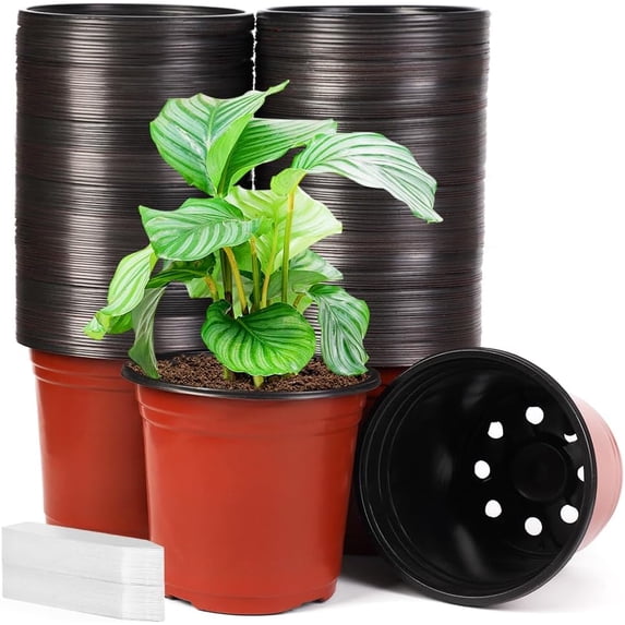 200 Pack 6 Inch Plastic Pots Comewith Drainage Holes, Seedling Flower ...