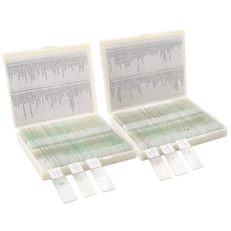 200 Packs Microscope Slides, 100 Plants & 100 Animal Tissues Includes ...