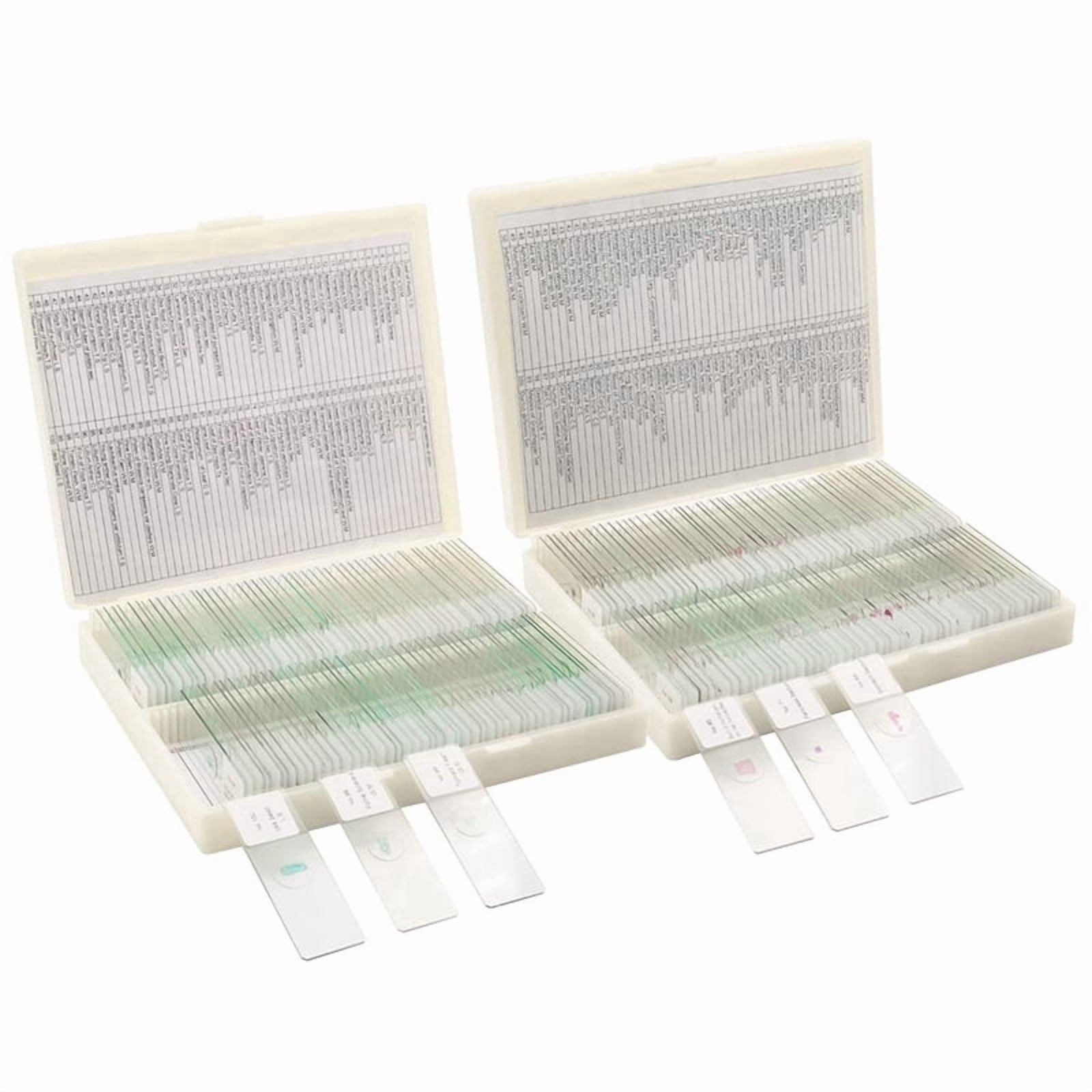 200 Packs Microscope Slides, 100 Plants & 100 Animal Tissues Includes ...
