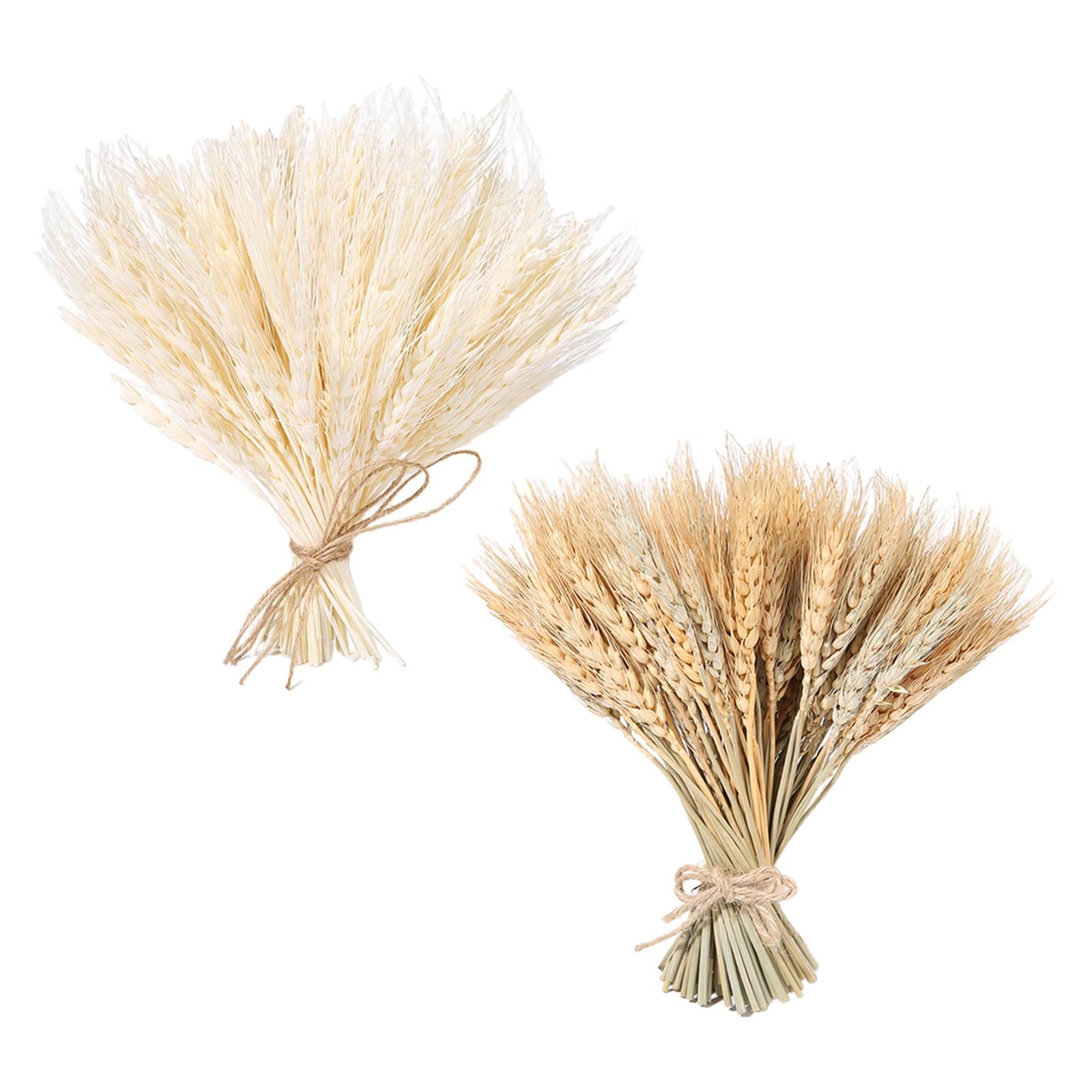 200 Pcs Dry Wheat Grass Bouquet Natural Dried Wheat Grass Artificial ...