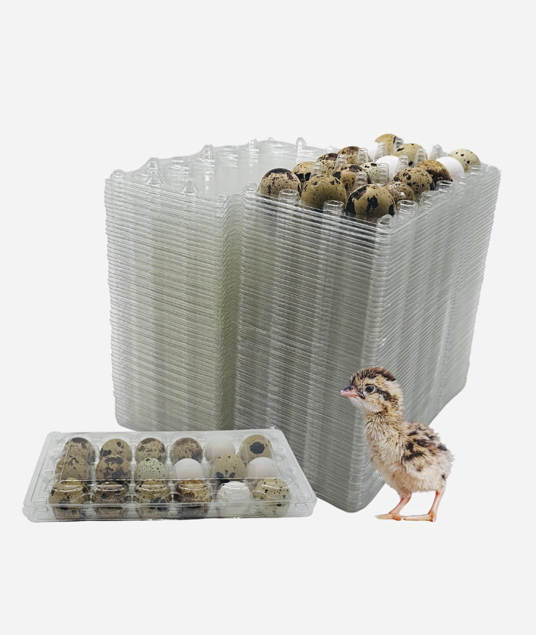 200 Pcs Quail Egg Cartons, 18 Grids Small Egg Storage Holders, Bulk ...