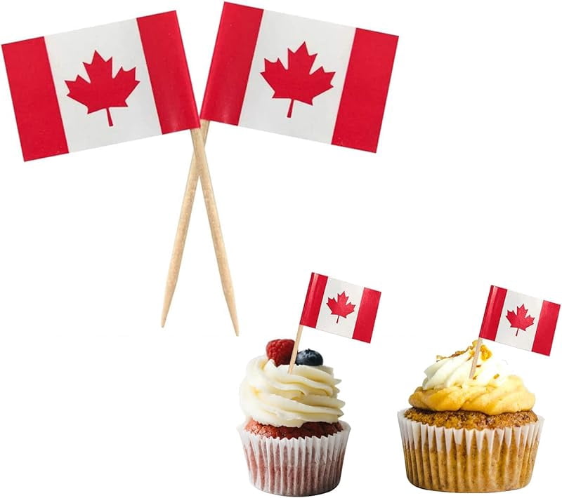 200 Pieces Canada Flag Toothpicks, Small Food Cup Cake Topper for ...