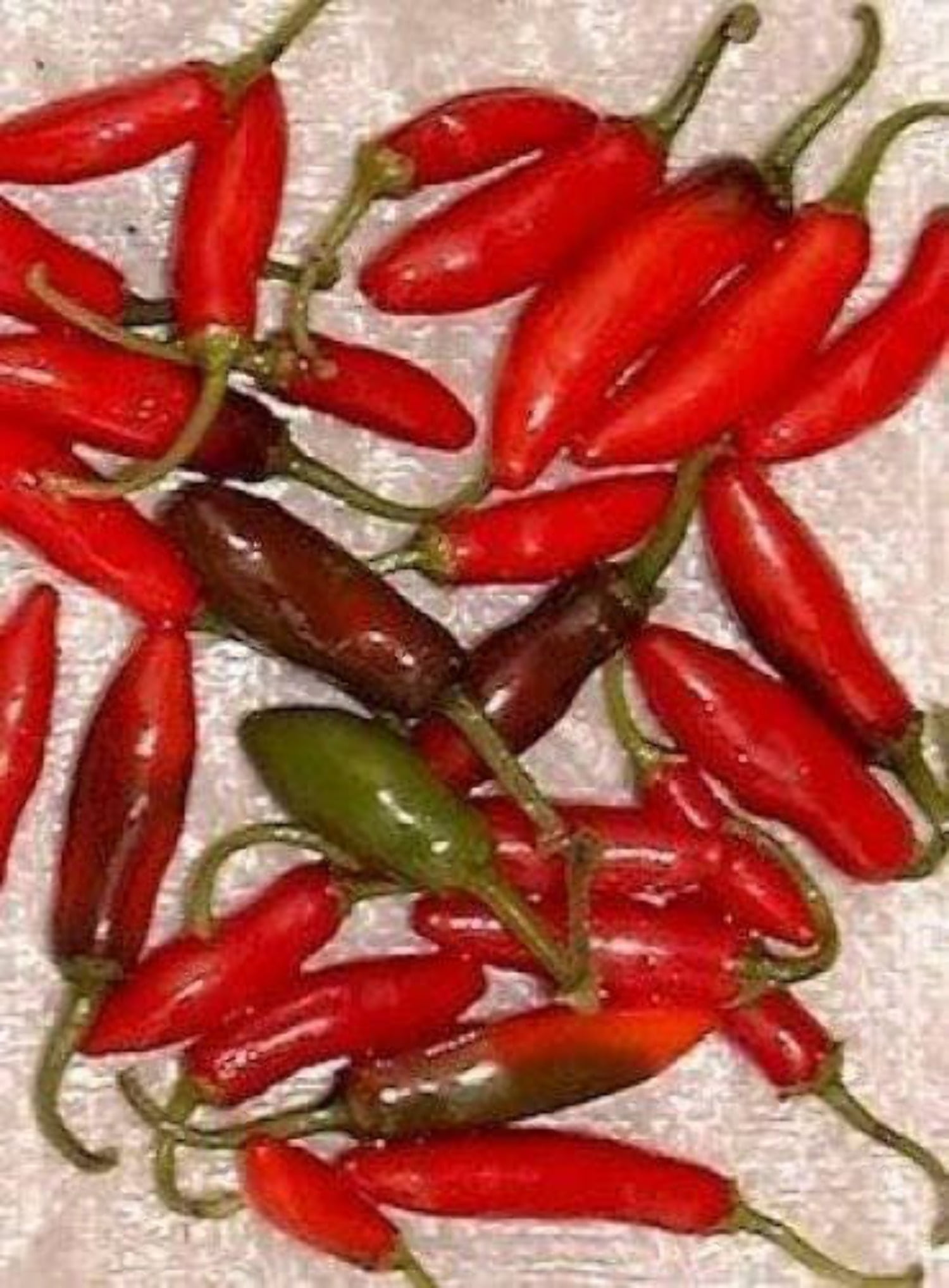 200 Seeds Hot SERRANO TAMPIQUENO PEPPER Mexican Chile Capsicum Annuum ...