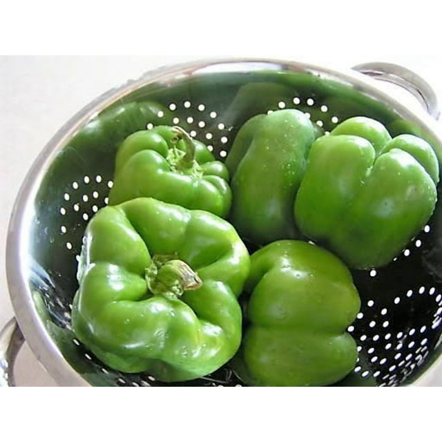 200 Seeds Sweet Green CALIFORNIA WONDER Bell PEPPER Capsicum Annuum ...