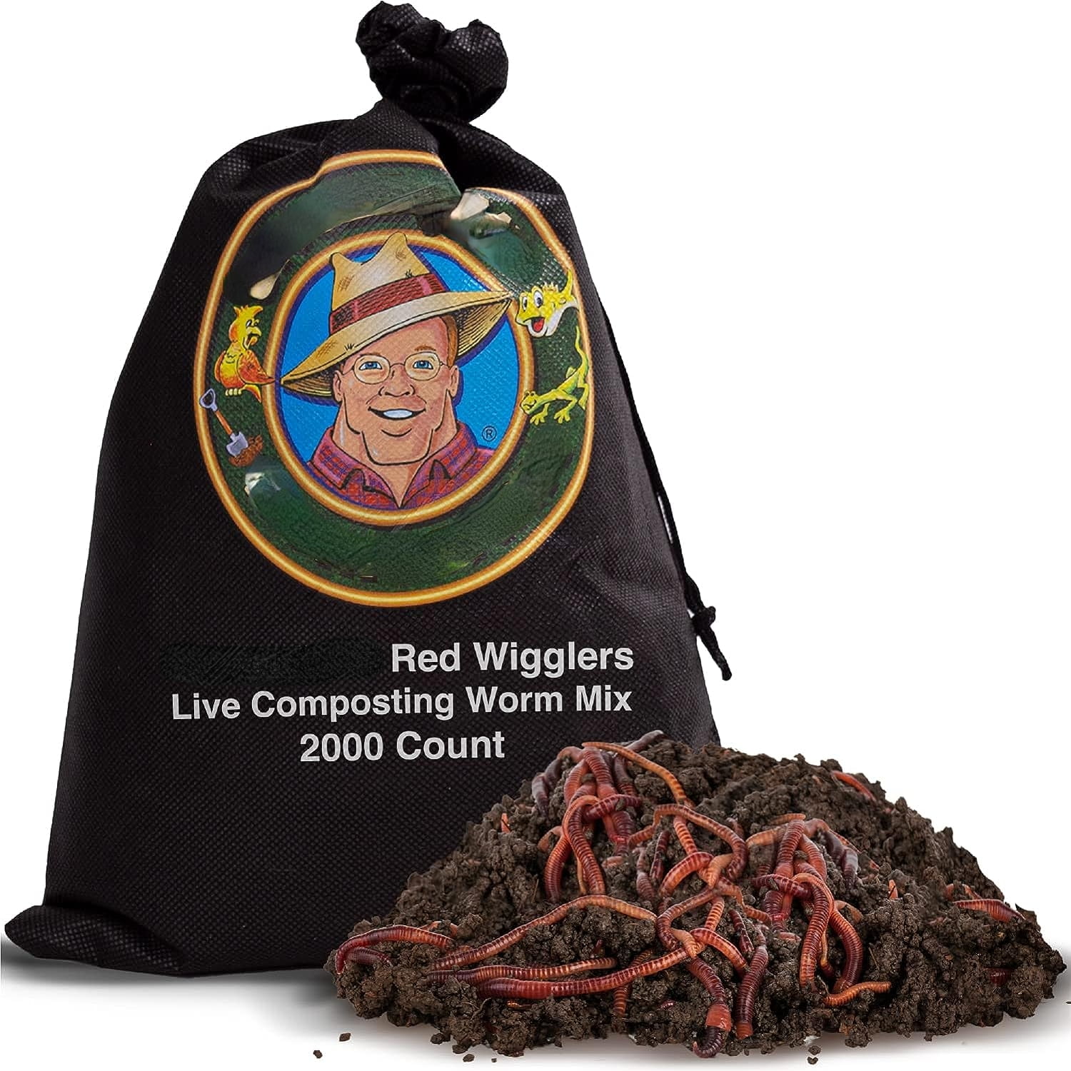 2000 Count Red Wiggler Worms - Walmart.com