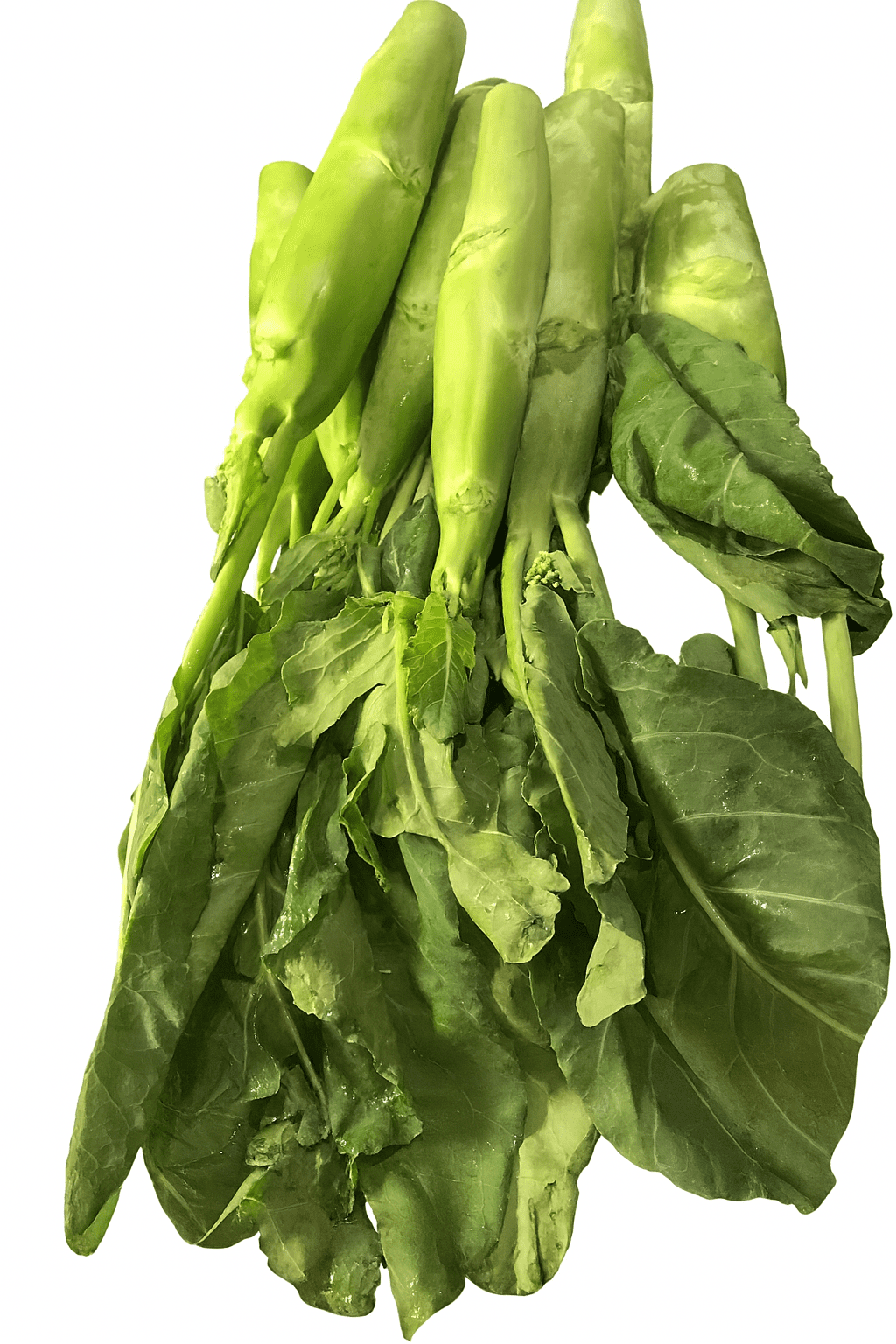 2000 Huge Stem Gai Lan Chinese Broccoli seeds – Big Stem Kai Lan ...
