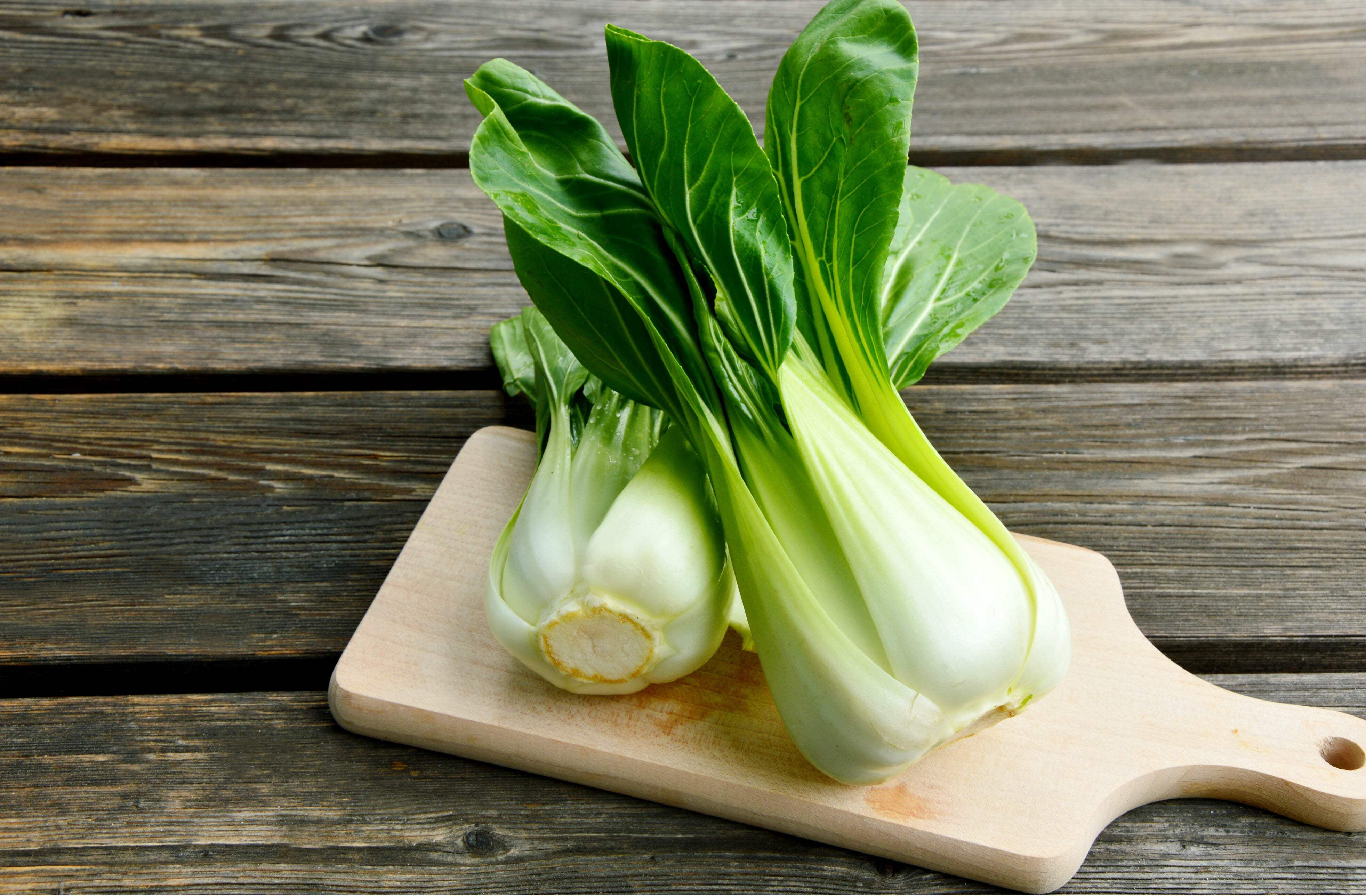 Seedville USA, 2000 Seeds Canton Pak Choi, Bok Choy Chinese Cabbage ...