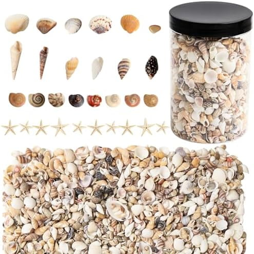 2000 pcs Mini Seashells with 10 pcs Starfish,Sea Shells for Crafting ...