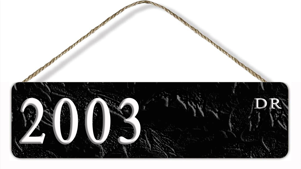 2003 Street Wooden Hanging Sign Plaque With Rope Wall Home Decor 4X16 ...