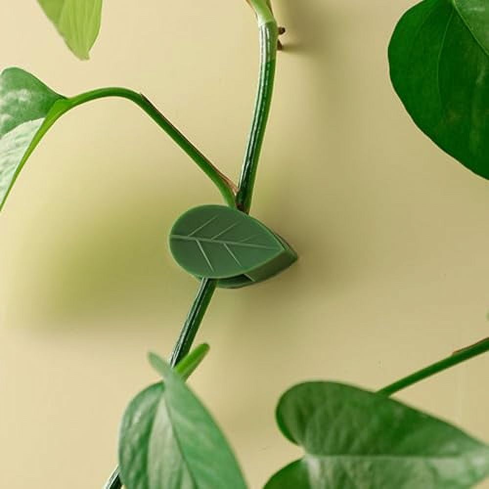 200PCS Plant Climbing Wall Fixture Clips, Plastic Support Clips for ...