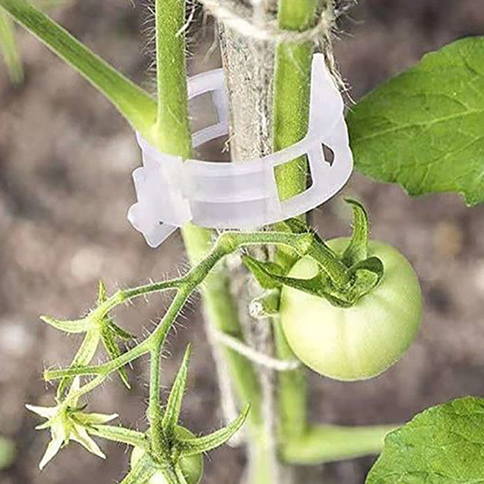 200PCS Plastic Plant Support Clips – Reusable Garden Clips for Tomatoes ...