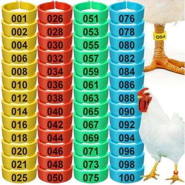 Livestock Identification Ear Tags, 01-50 Identification Numbered Animal ...