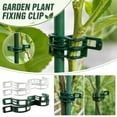 200Pcs Clear Garden Plant Support Clips, Plant Clips for Climbing ...
