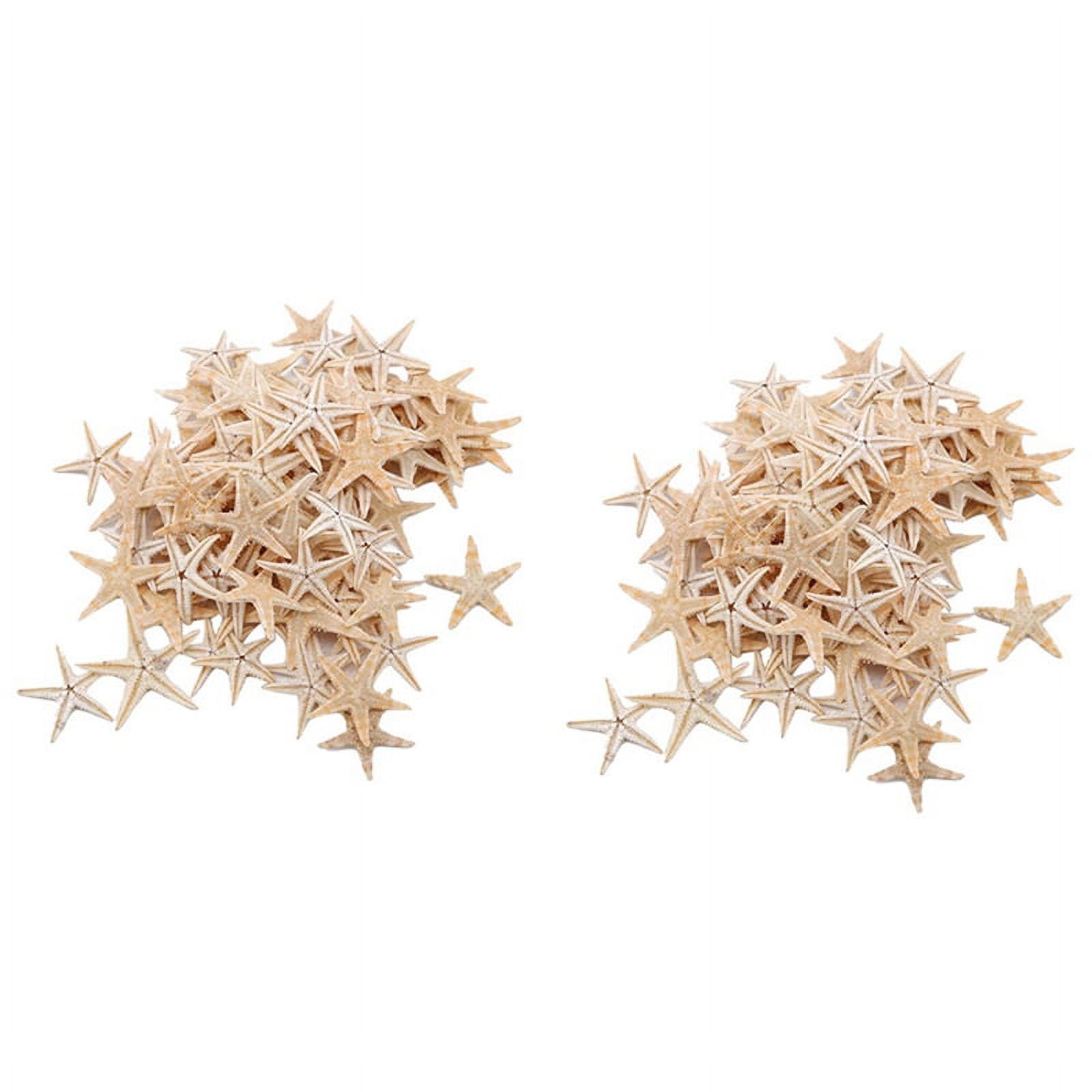 200Pcs Natural Starfish Seashell Beach Craft Natural Sea Stars DIY Beach Wedding Decoration ...