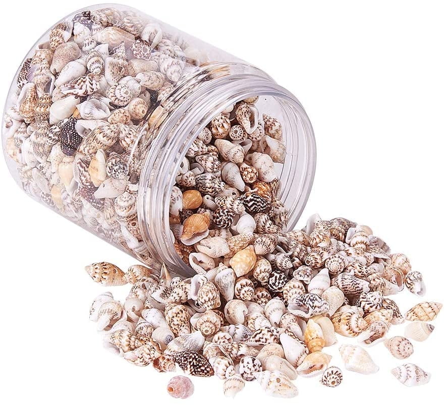 200g 2 Styles Tiny Sea Shell Ocean Beach Spiral Seashells Craft Charms ...