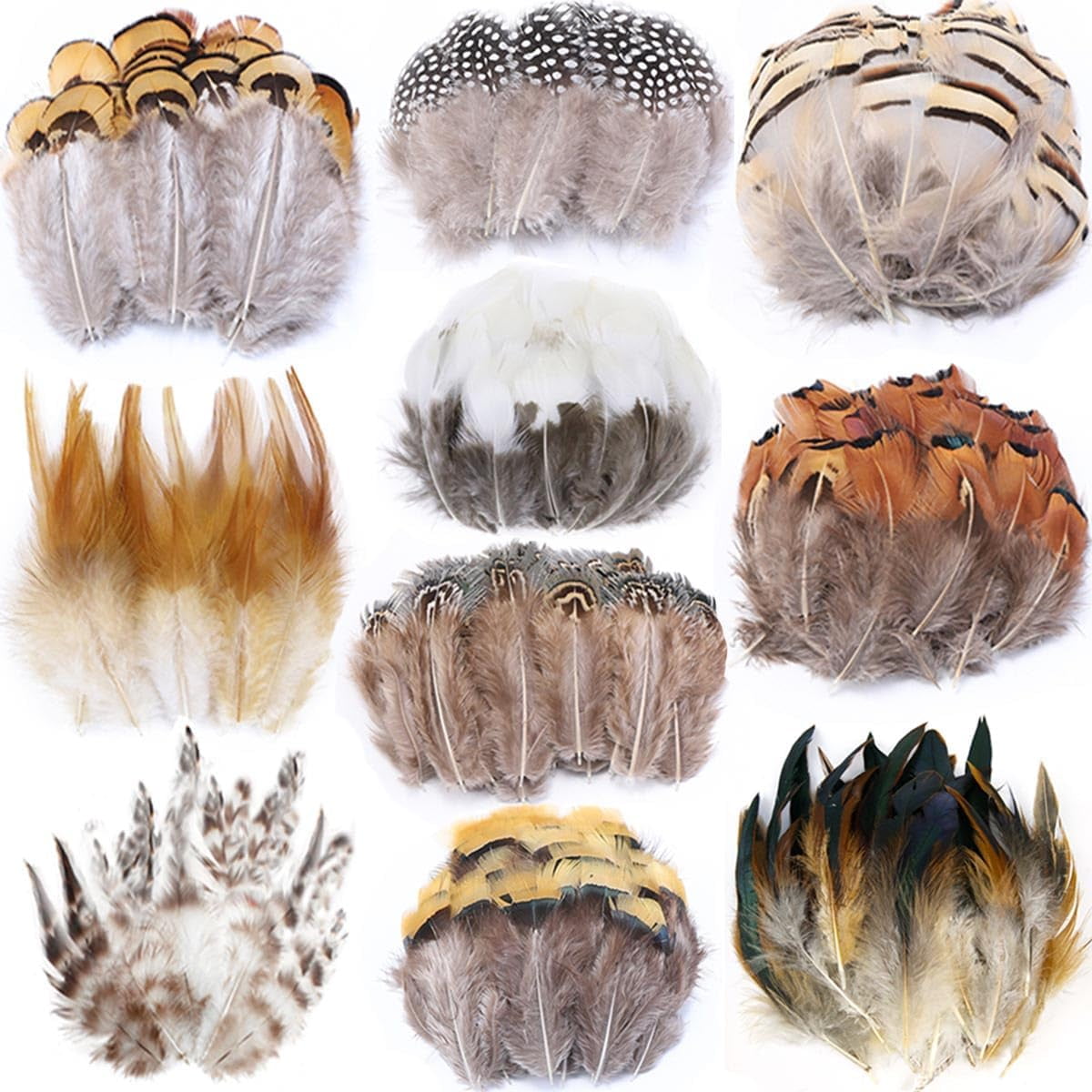 200pcs 10 Style Natural Feathers Assorted Mixed Feathers for Dream ...