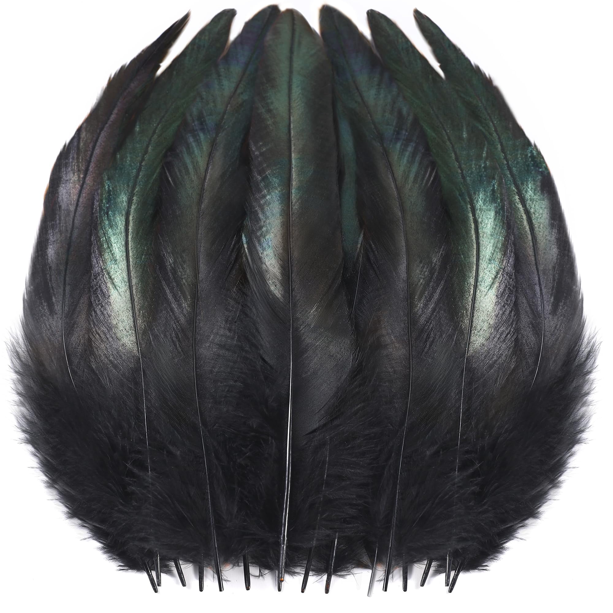 200pcs Black Rooster Tail Craft Feathers 5-7 Inches Bulk Supplies for ...