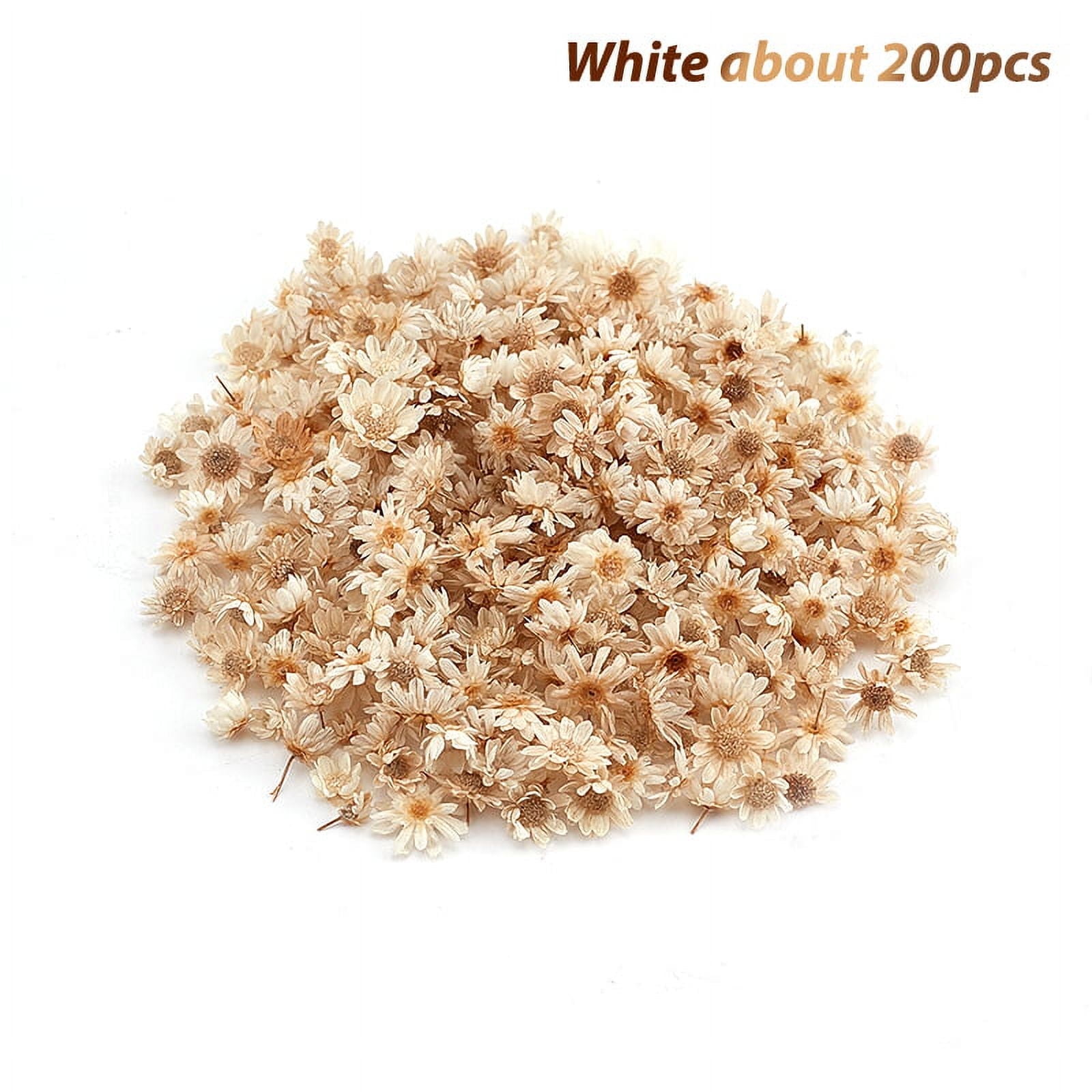 200pcs Dried Flowers For DIY Epoxy Resin Candle Making Jewellery Glass ...
