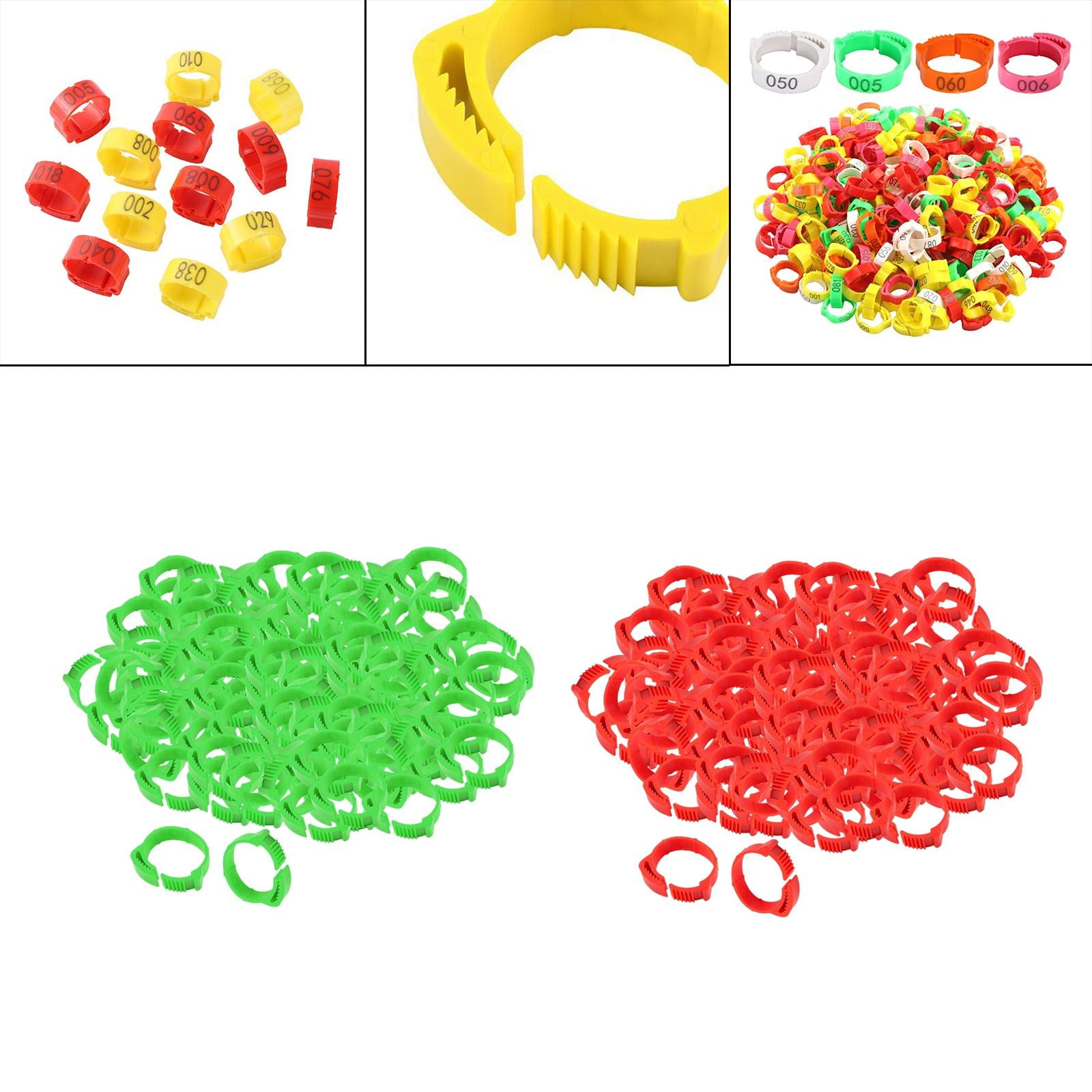 200x Buckle Identification Hen Poultry Dove Birds Quail Chicks Duck ...