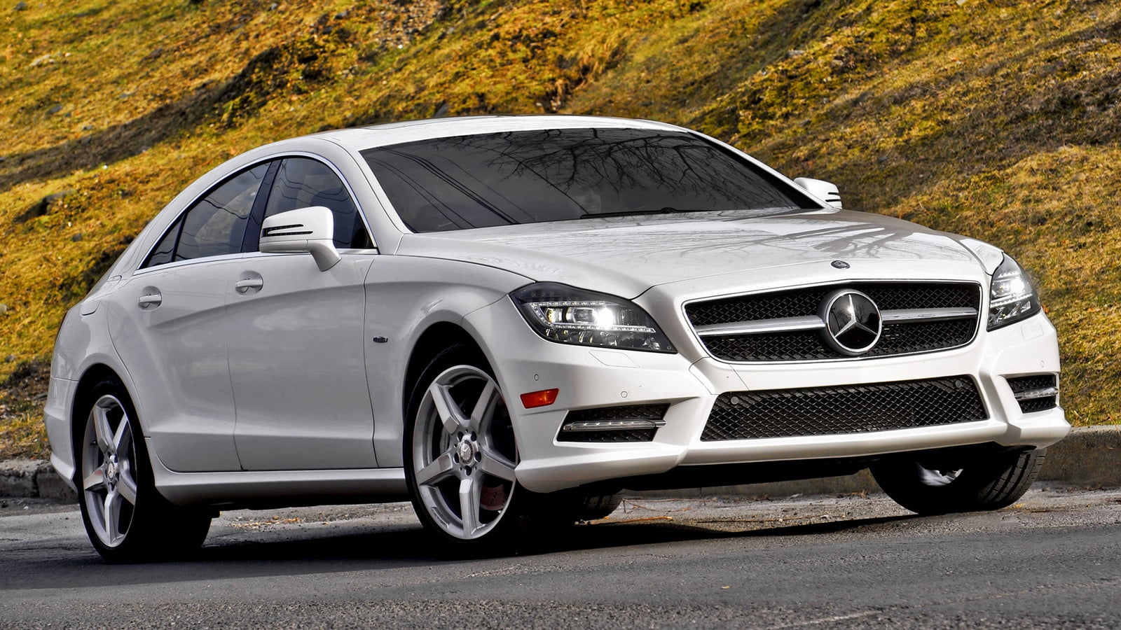 2010 Mercedes-Benz CLS Class AMG Styling US Car Poster - 24x36 Inch ...