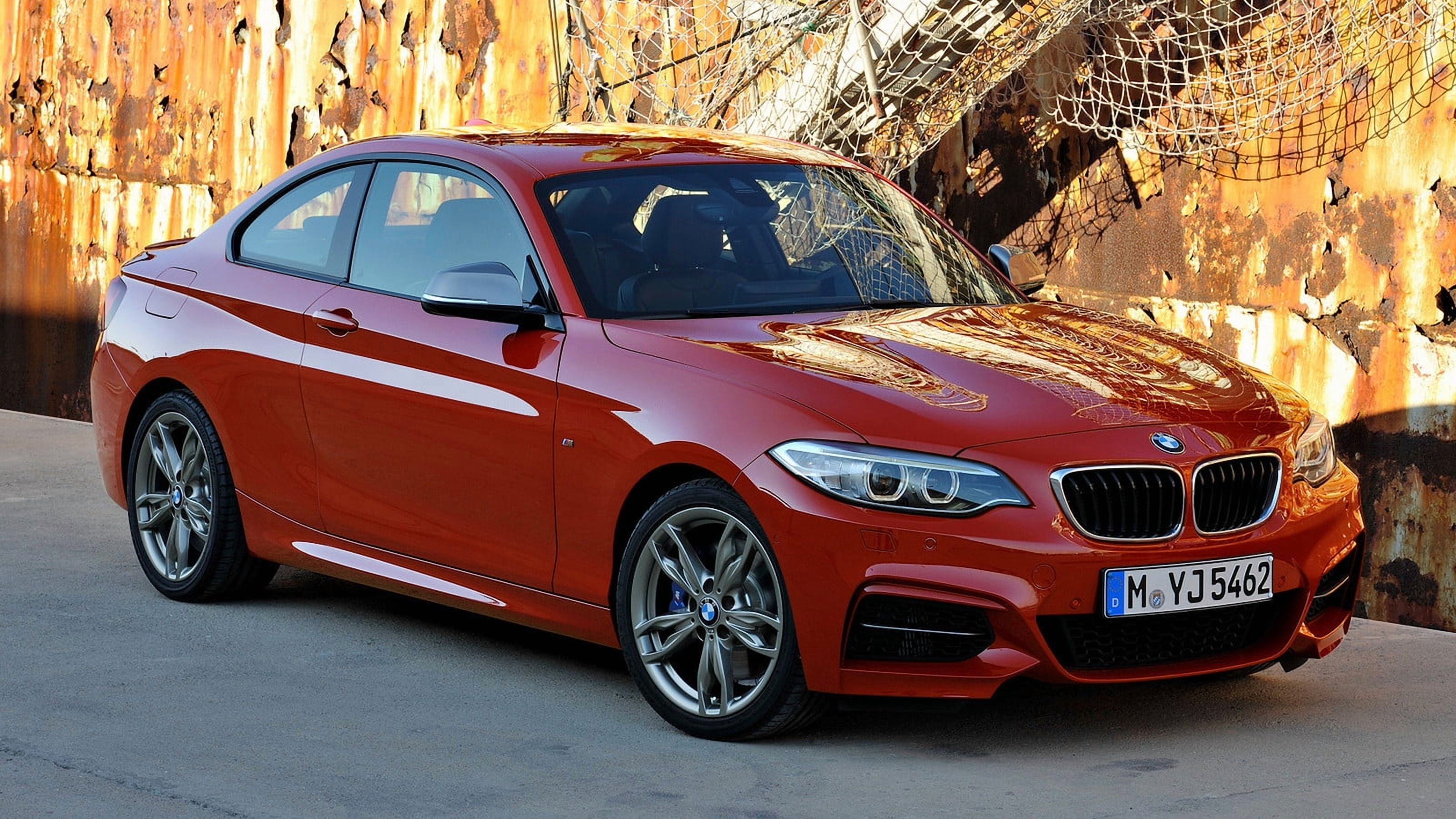 2014 BMW M235i Coupe - 24x36 Inch Laminated Poster - Stunning Detail ...