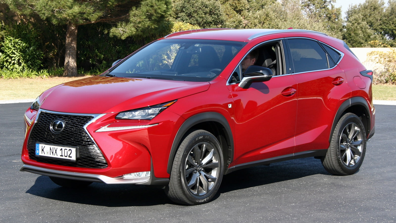 2014 Lexus NX F Sport - 12x18 Inch Laminated Poster - Stunning Detail ...