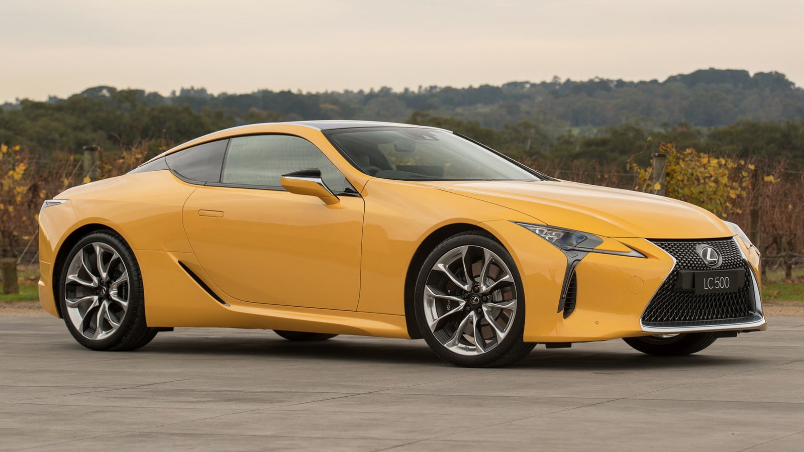2017 Lexus LC AU Car - 20x30 Inch Laminated Poster - Stunning Detail ...