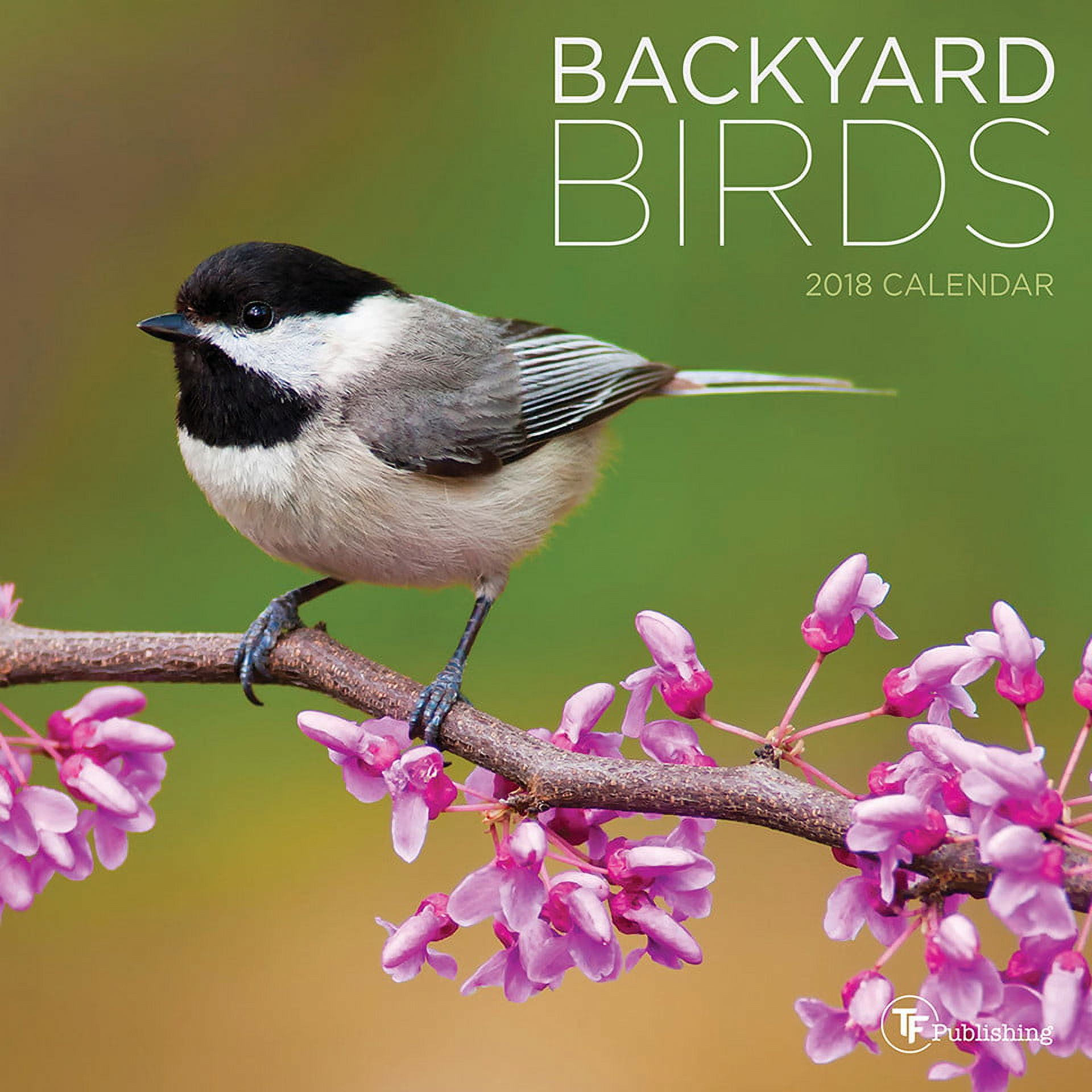 2018 Backyard Birds Mini Calendar - Walmart.com