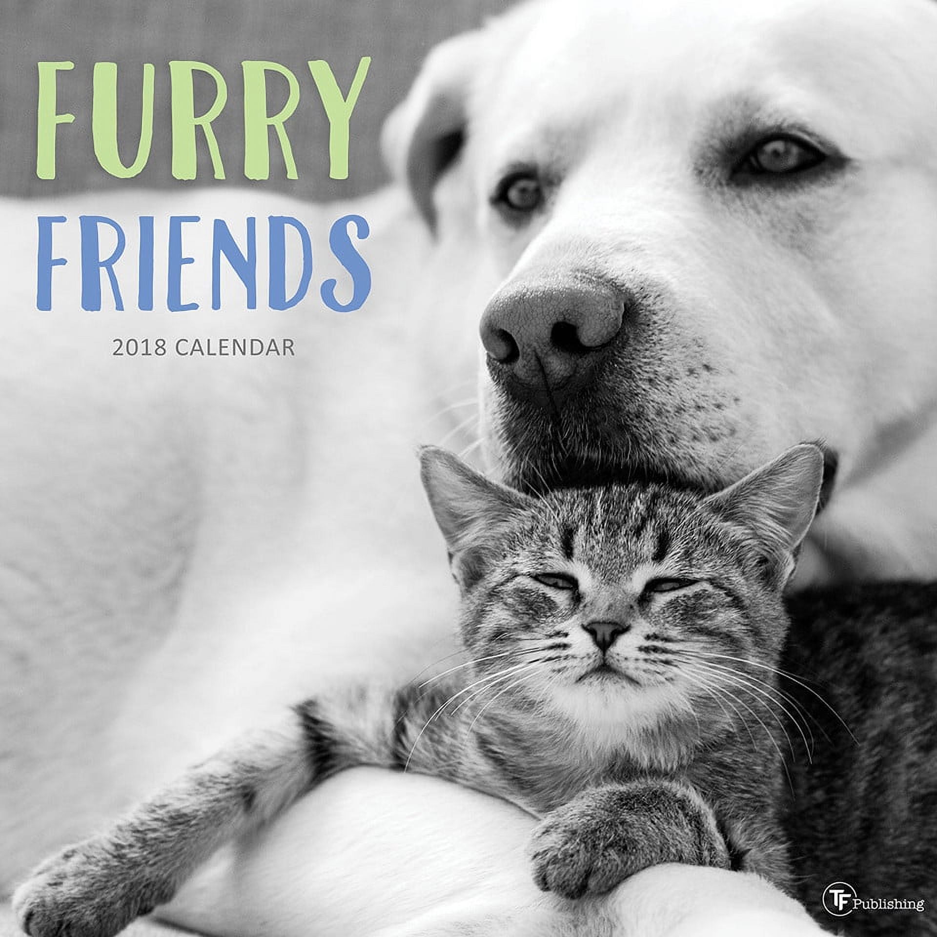 2018 Furry Friends Wall Calendar - Walmart.com
