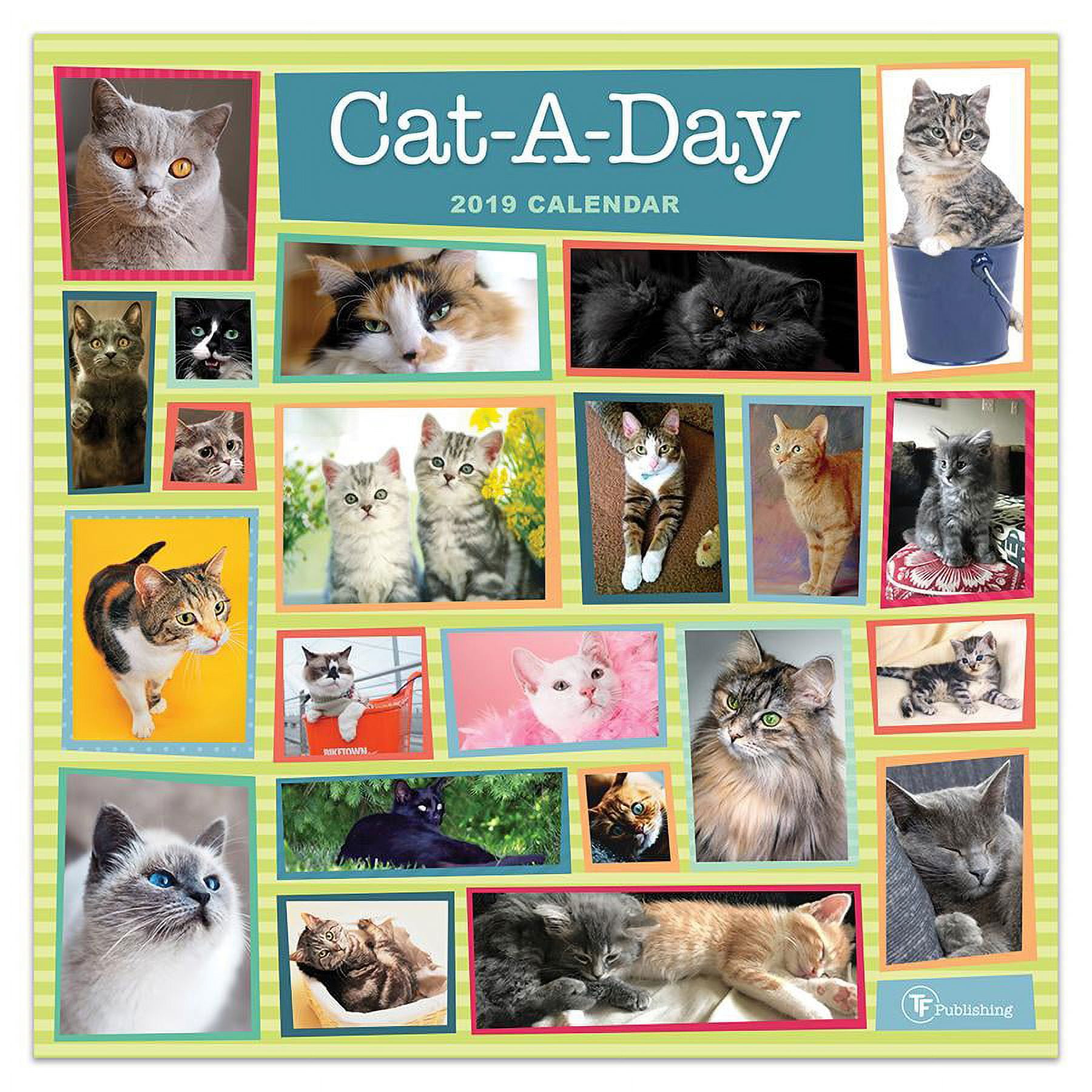 2019 Cat-A-Day 12" x 12" January 2019-December 2019 Wall Calendar ...