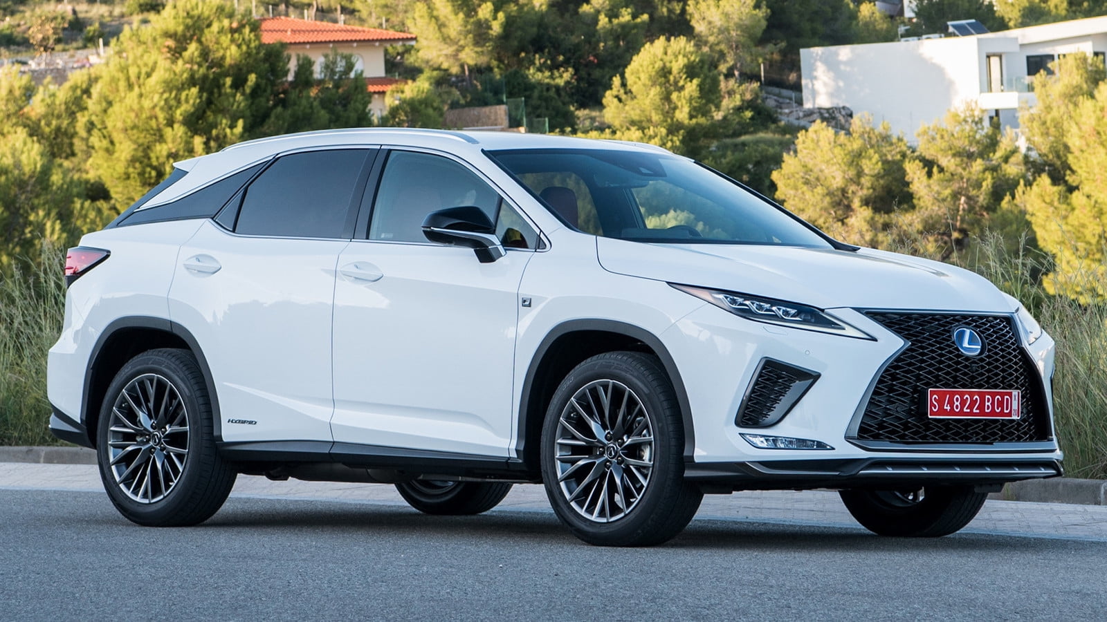 2019 Lexus RX Hybrid F Sport Car - 24x36 Inch Laminated Poster ...
