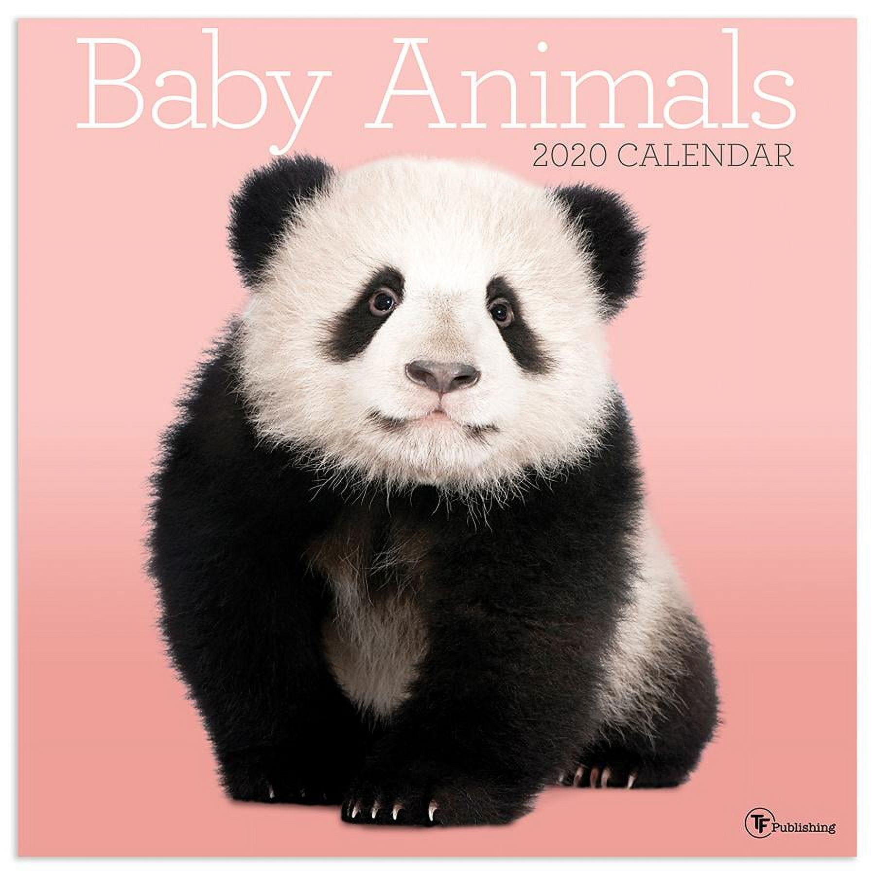 2020 Baby Animals Wall Calendar - Walmart.com