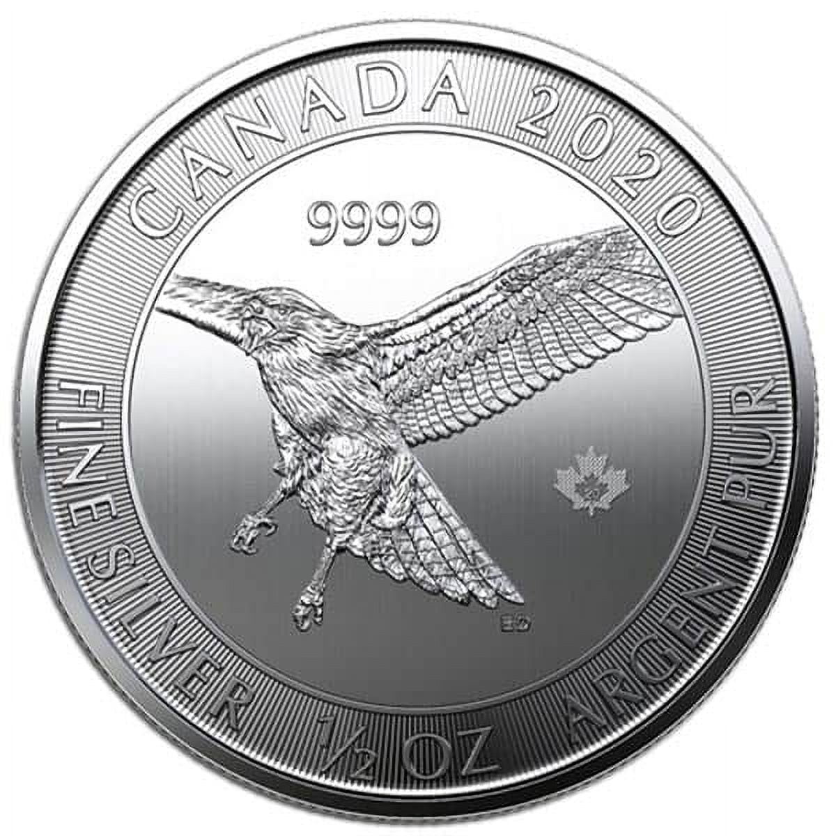 2020 Canadian Birds of Prey Series - RED-TAILED HAWK, 1/2 Troy Oz ...