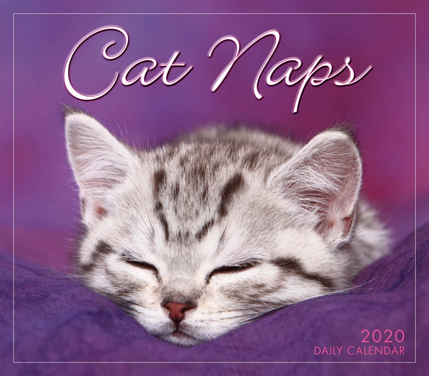 2020 Cat Naps Boxed Daily Calendar: By Sellers Publishing (Other ...